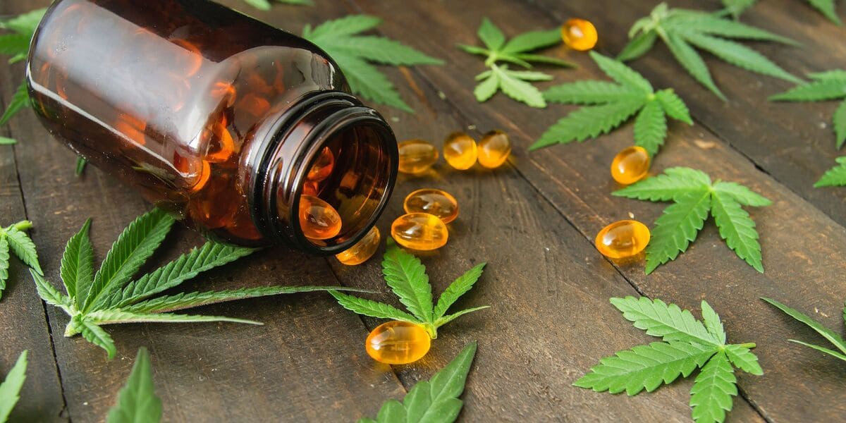 Your Guide to Cannabidiol Capsules UK – SMOKO CBD